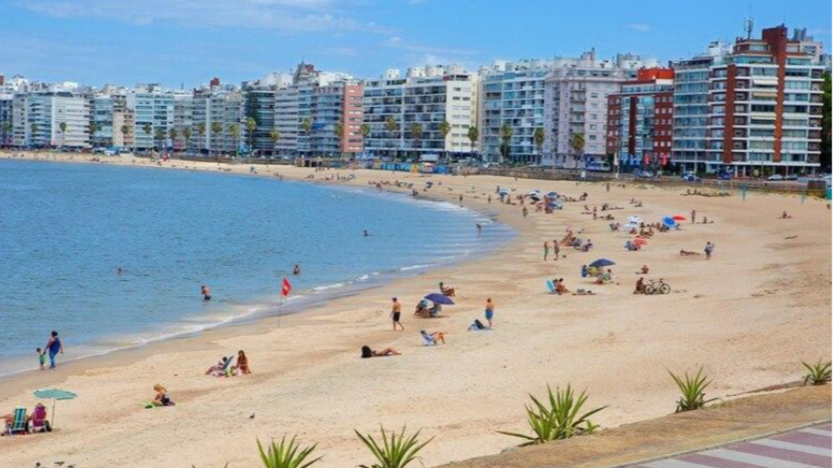 Cómo obtener la Residencia por Arraigo en Uruguay: Requisitos y ... Cómo obtener la Residencia por Arraigo en Uruguay: Requisitos y ...