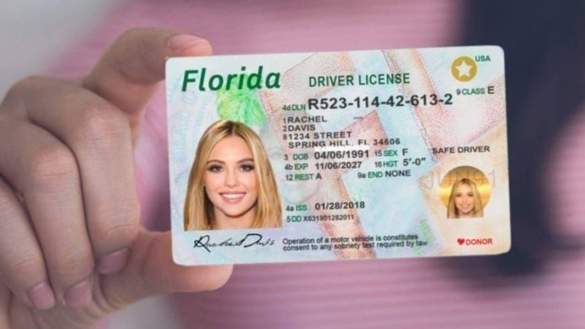 Licencia de conducir en Florida: Así debe tramitarla como nuevo residente