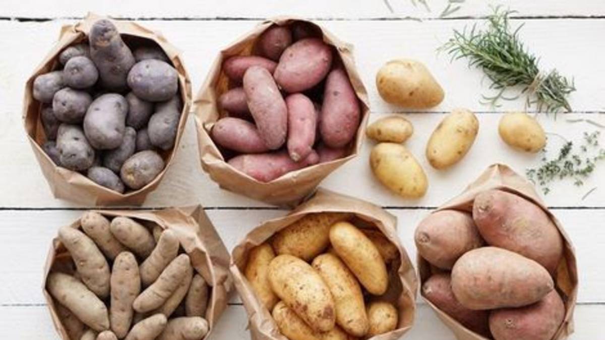 Tipos de papas más comunes para cocinar