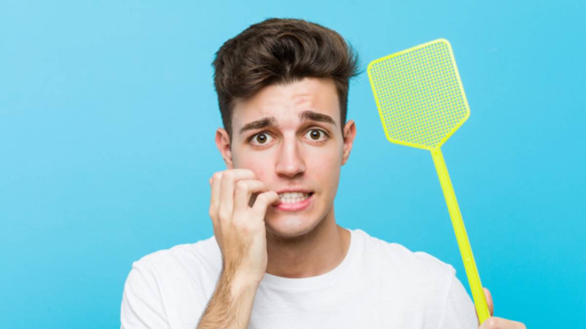 ¿Cómo elaborar un matamoscas artesanal?