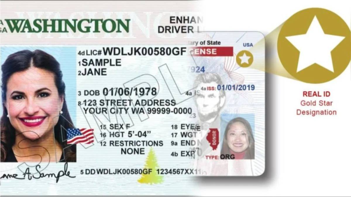EEUU | Así puede reconocer una Real ID falsa (+Detalles)