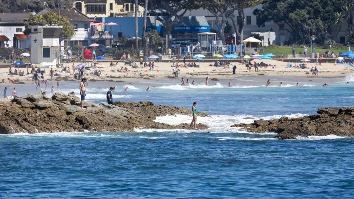 Environment America revela playas con altos niveles de bacterias ...