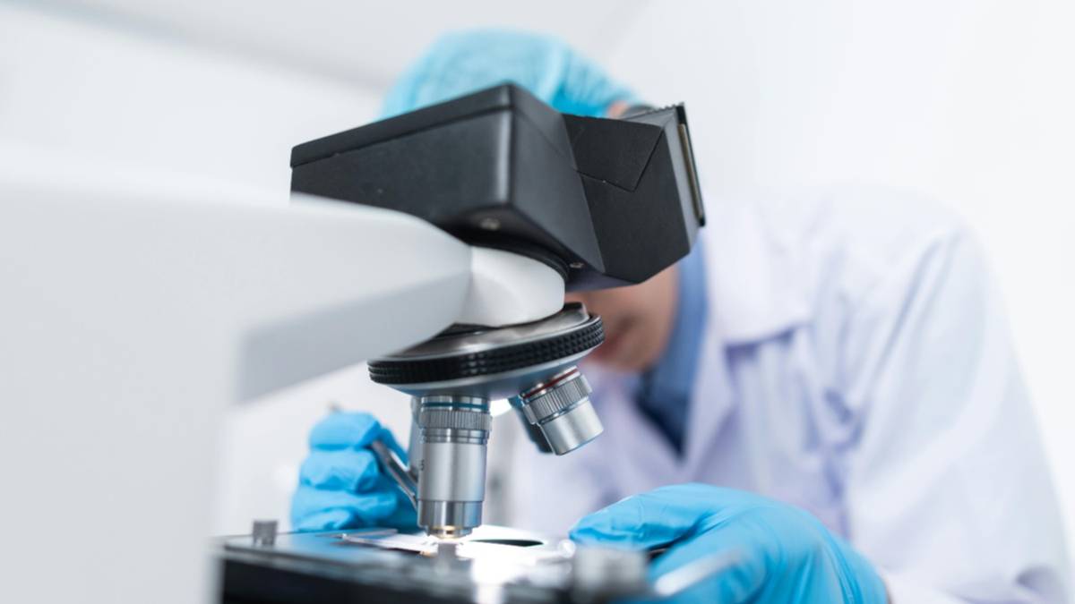 Enfermedad de Chagas en EE.UU.: Lo que debes saber para protegerte y ...