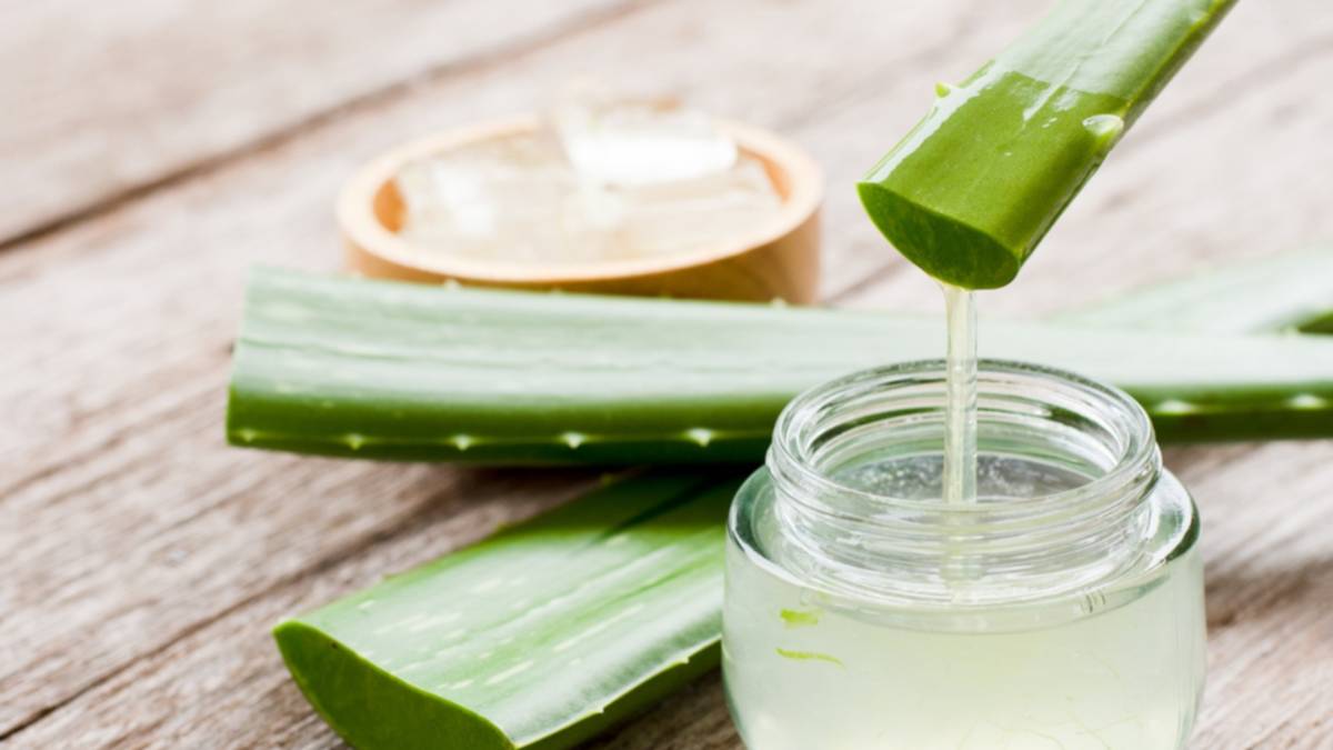 Aloe vera | Ventajas y desventajas para la salud