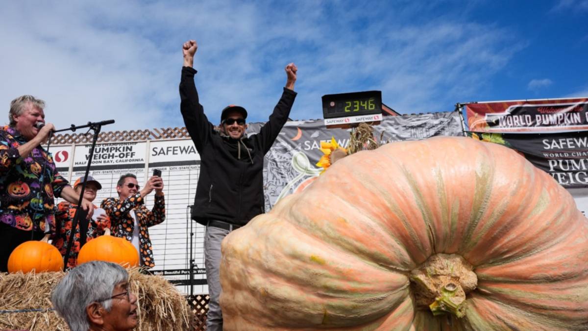 Ingeniero gana el concurso de calabazas gigantes en California: superó ...